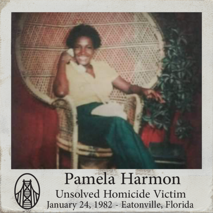 Pamela Harmon - Project: Cold Case
